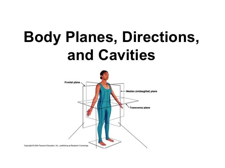 Body Planes Diagram PPT The Planes Of The Body PowerPoint